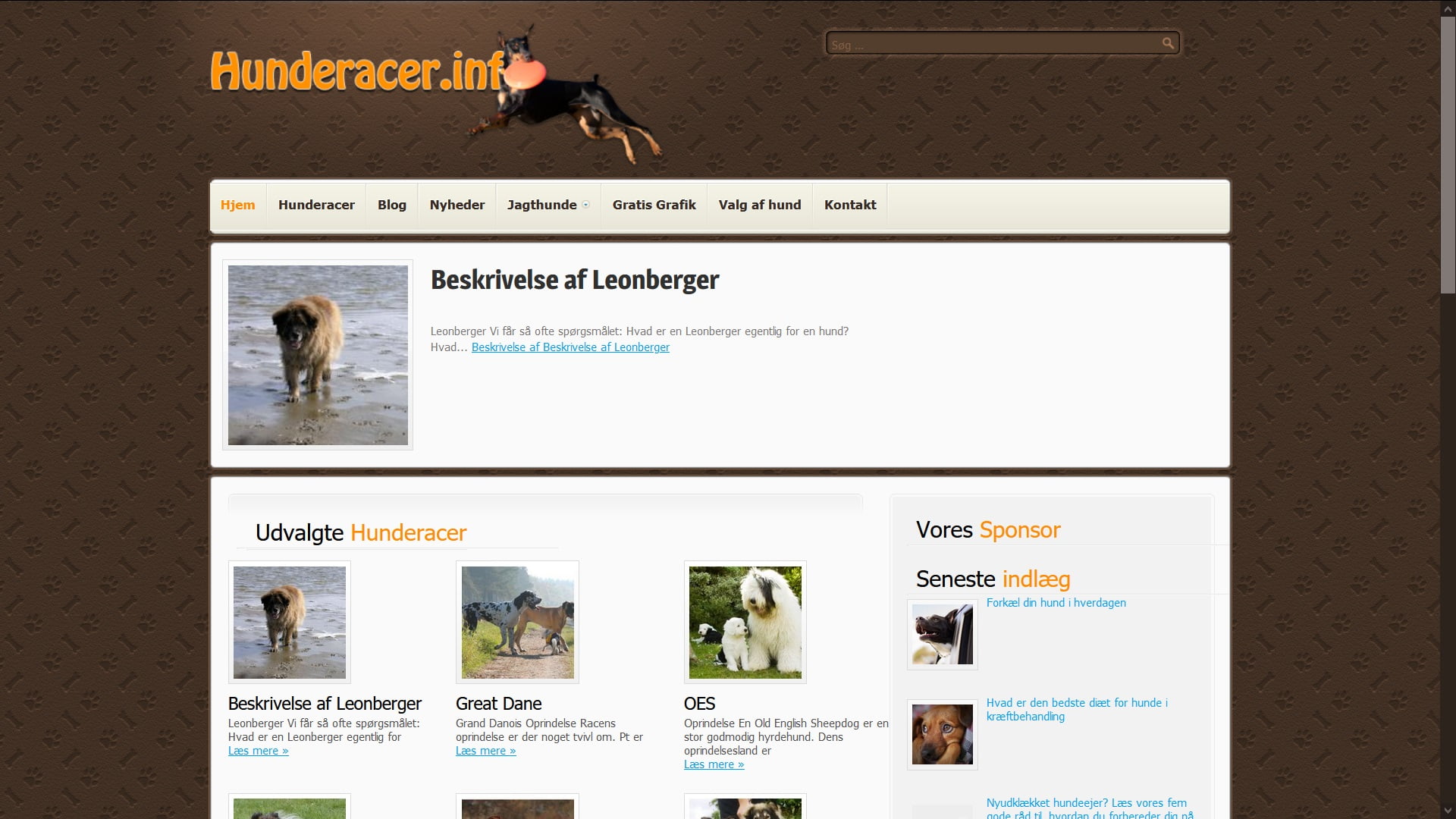 Hunderacer.info – al information om hunde - DanskeKilder.dk